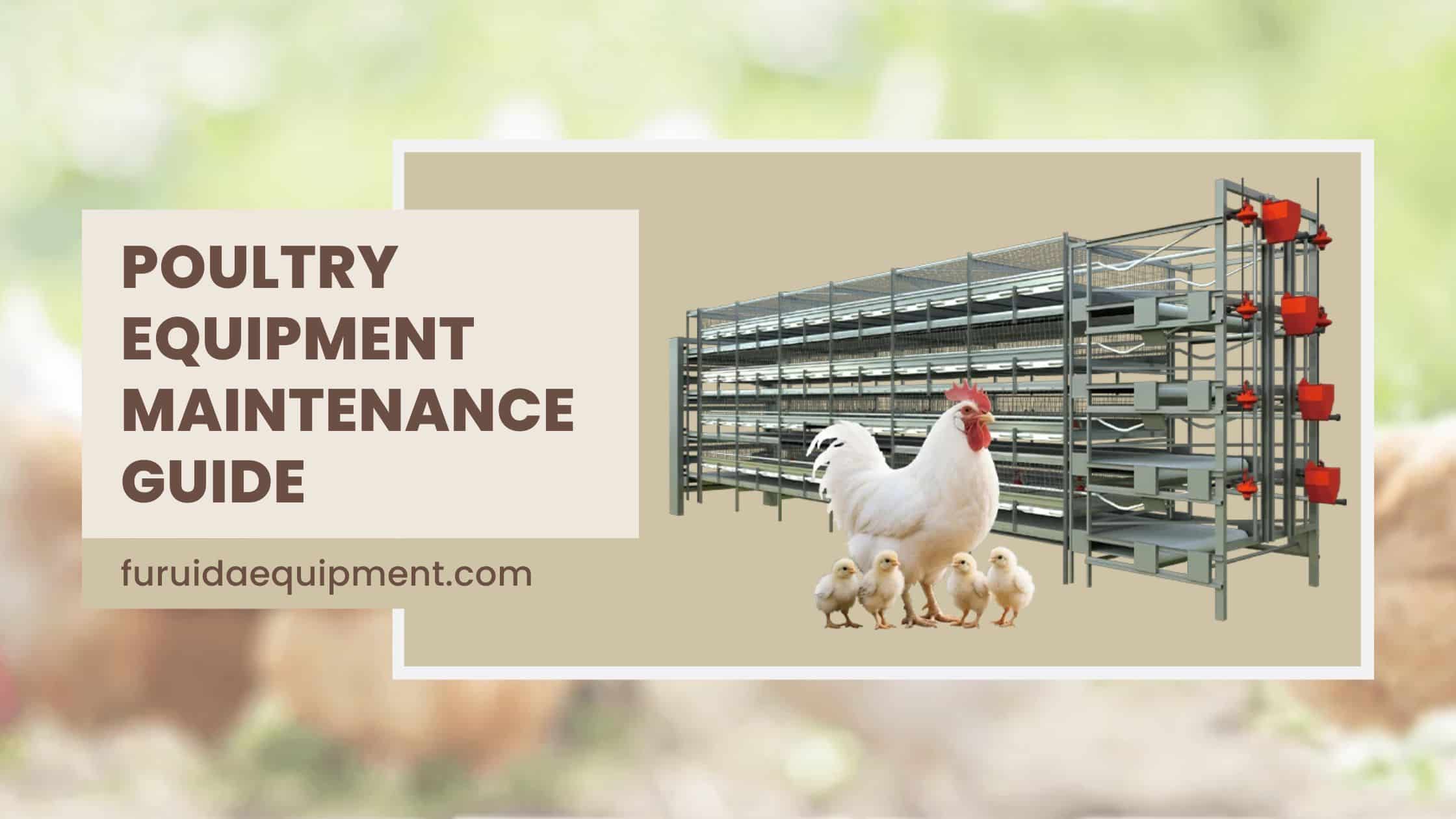 Poultry Equipment Maintenance: Tips Every Farmer Should Know